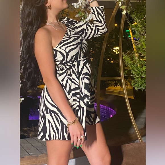 Dresses | Zebra Mini Dress | Poshmark